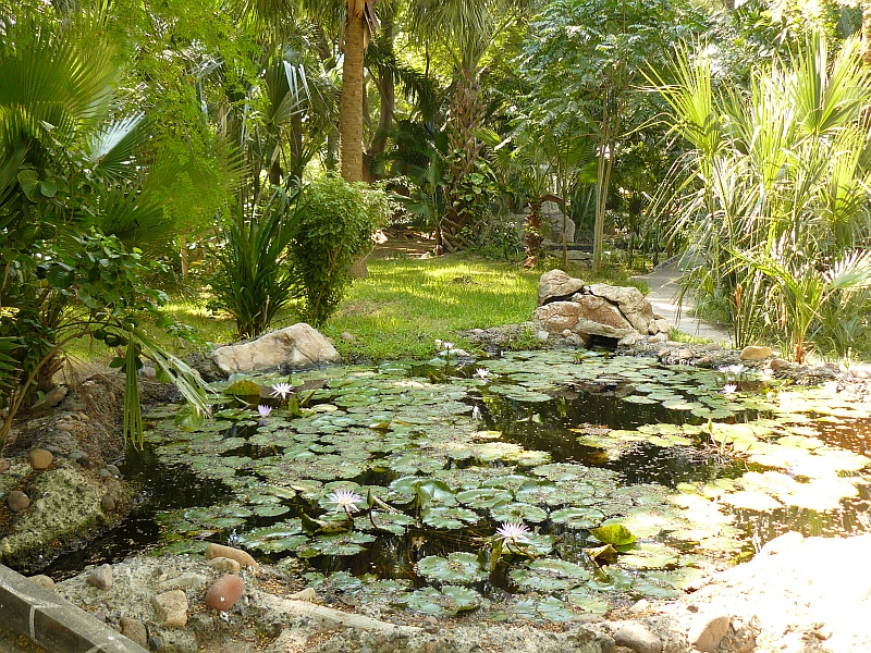 Tipos de vegetación - Tipos De